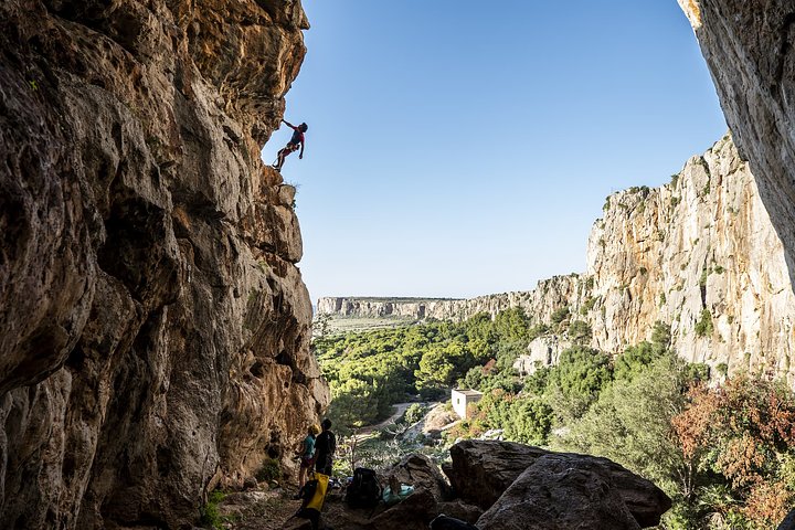 Homepage | Mapo Tapo