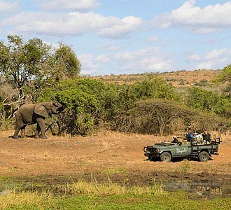 The Western Cape Safari Experience | Something different, somewhere ...