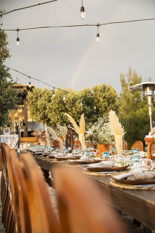 About | Harvest Series