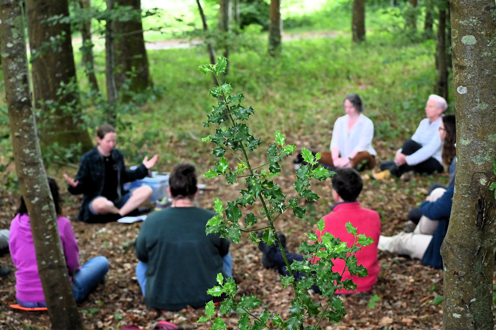 Forest Bathing Sessions