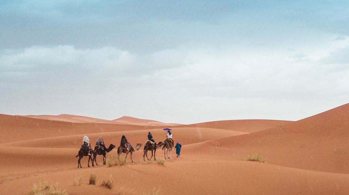 Book - Step 1 - Tickets | Nomadic Festival