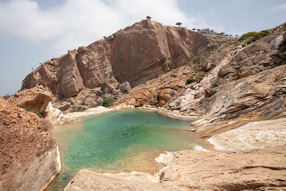 8 Day Socotra Expedition