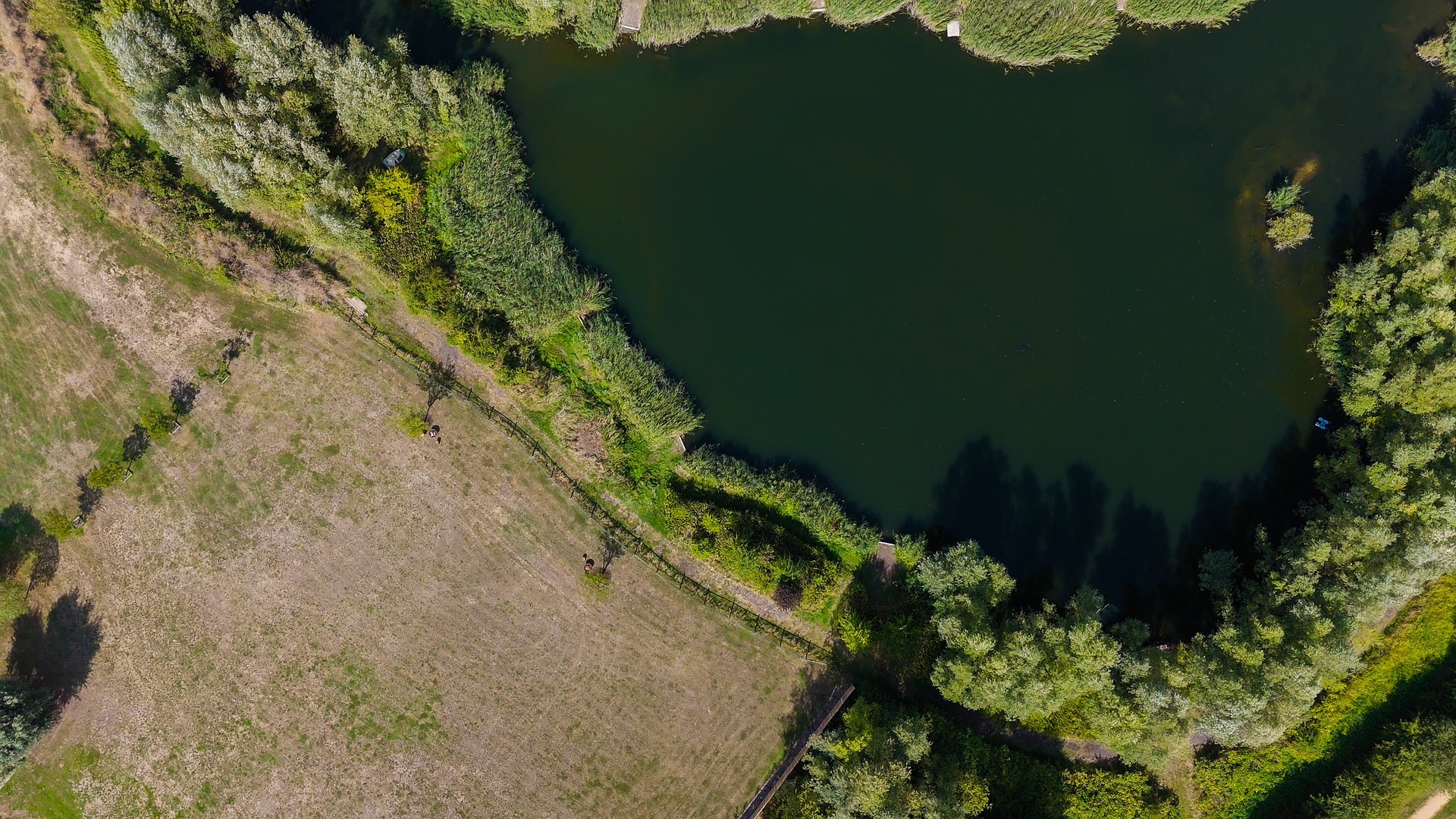 Homepage | Apps Court