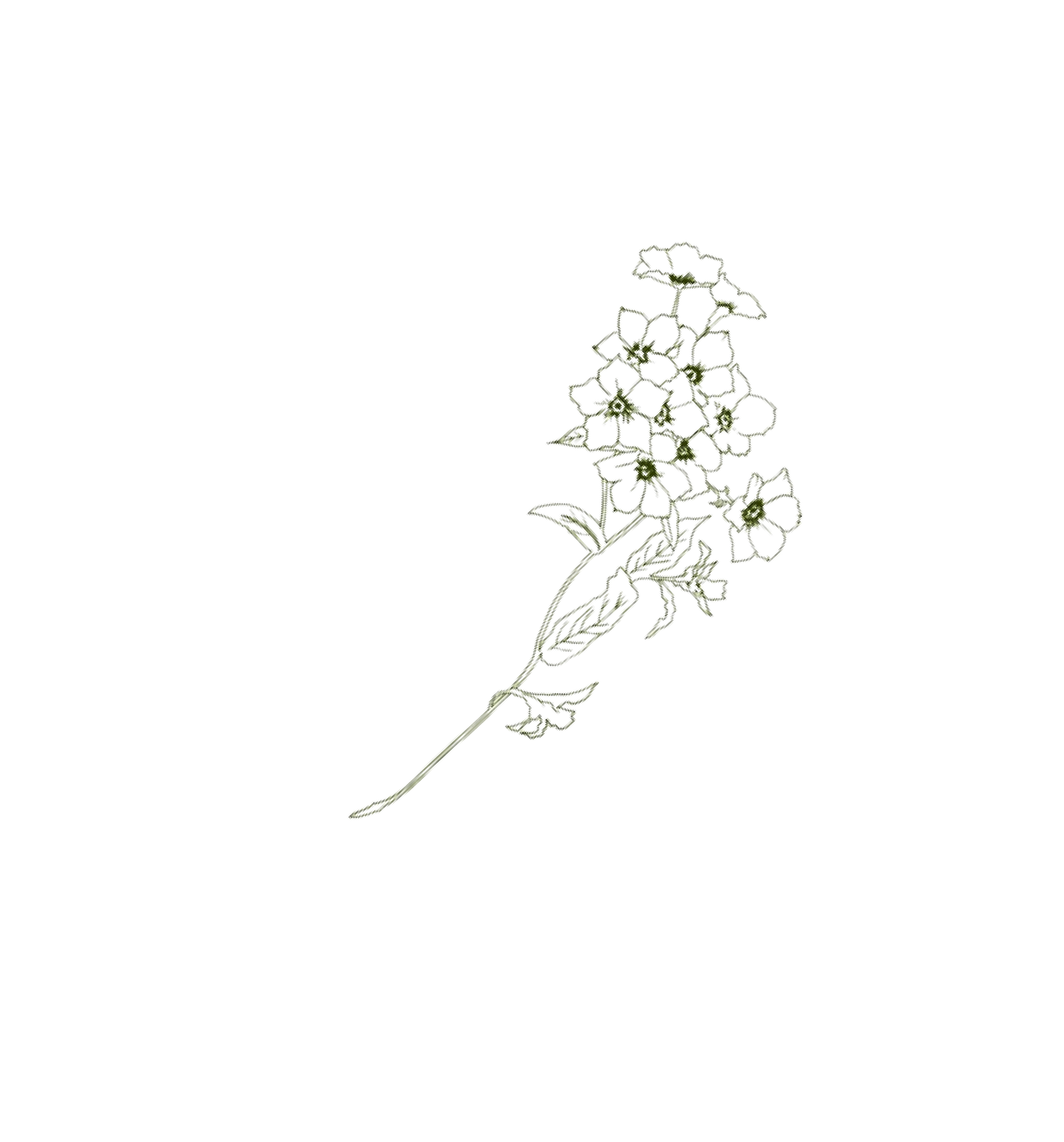 Homepage - Sutton Lodge Flowers and floristry