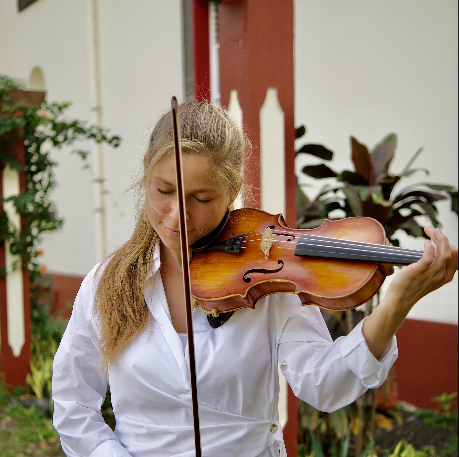 All Upcoming Events! | Madeira Concerts / Shows / Live Music!