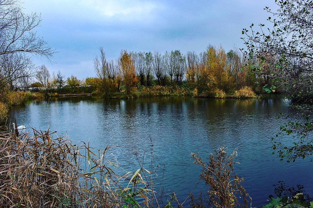 Homepage | Apps Court