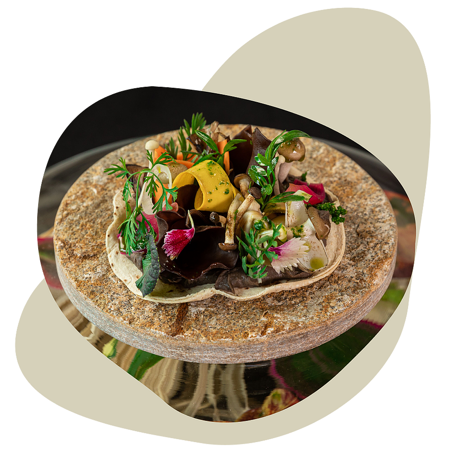 Homepage | Wanderlust Palmaïa