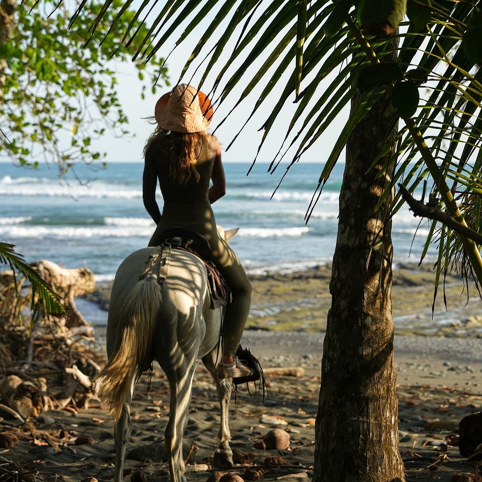 SURF & SADDLE Retreat | A WEEK AWAKE