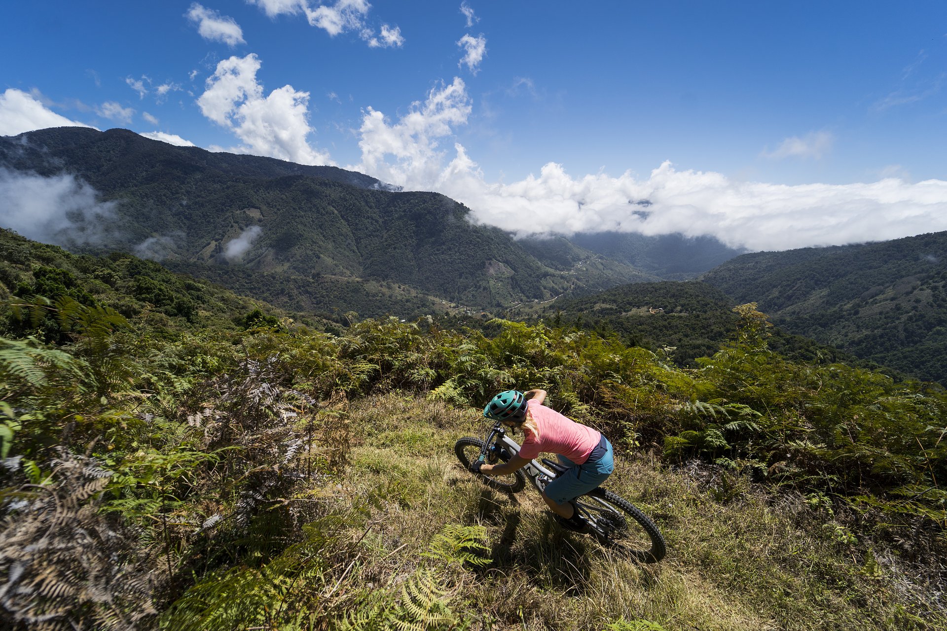 RAD Freeride Adventure