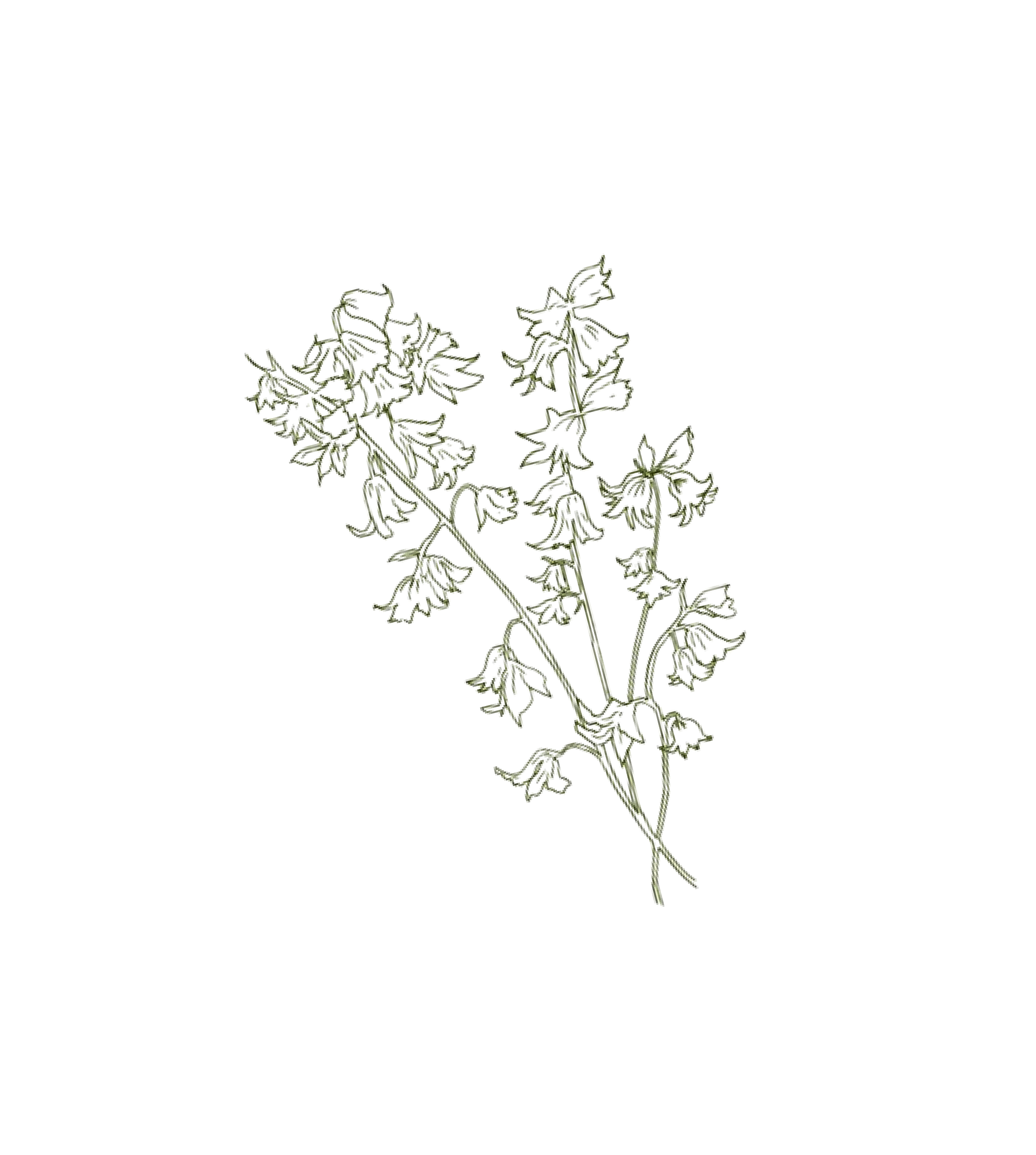 Homepage - Sutton Lodge Flowers and floristry