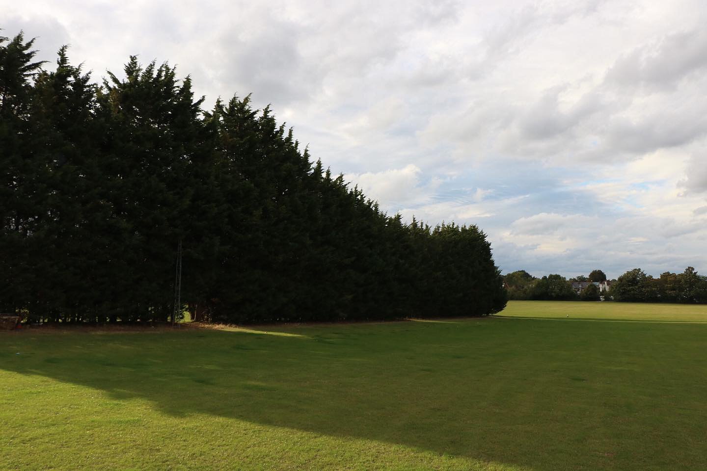 Homepage | Apps Court