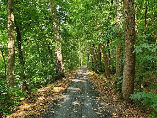 Great Allegheny Passage (GAP) 4-day Self Guided Tour
